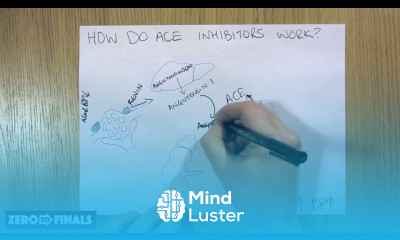 Learn How do ACE inhibitors work - Mind Luster