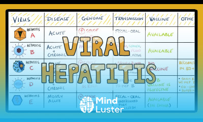 Learn Viral Hepatitis Comparison in 3 Minutes What are the different ...