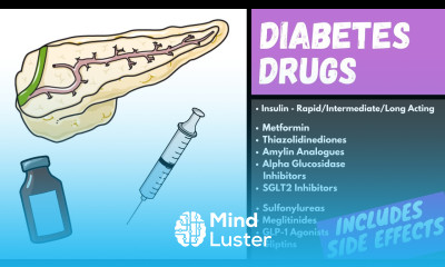 Learn Diabetes Medication Explained Diabetes Drugs Mechanism Side ...