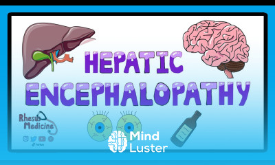 Learn Hepatic Encephalopathy Pathophysiology Stages and West Haven ...