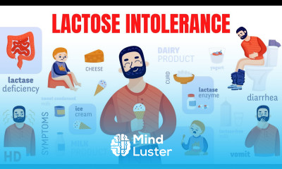 Learn Lactose Intolerance Everything You Need To Know - Mind Luster