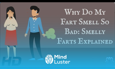 Learn Why Do My Fart Smell So Bad Smelly Farts Explained - Mind Luster