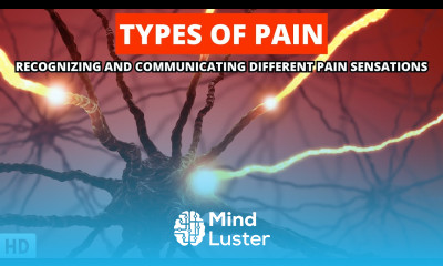 Learn From Aching to Burning Decoding the Diverse Types of Pain - Mind ...