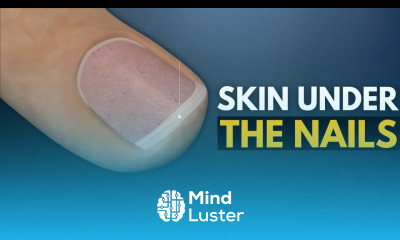 Learn Skin Under the Nail What You Need to Know for Healthy Nails ...