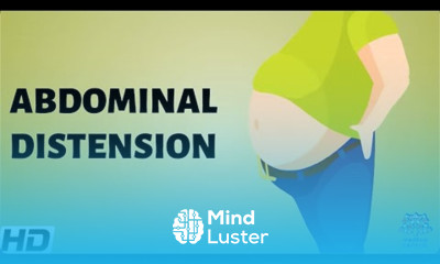 Learn Abdominal Distention Everything You Need To Know - Mind Luster