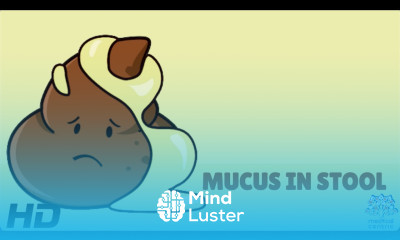 Learn Mucus In Stool Everything You Need To Know - Mind Luster