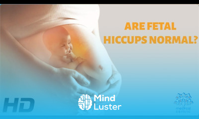 Learn Are Fetal Hiccups a Good Sign During Pregnancy Here s What ...