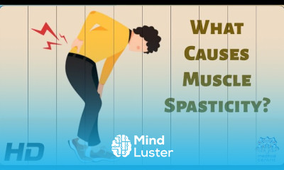 Learn Muscle Spasticity What s Really Going on and How to Treat It ...
