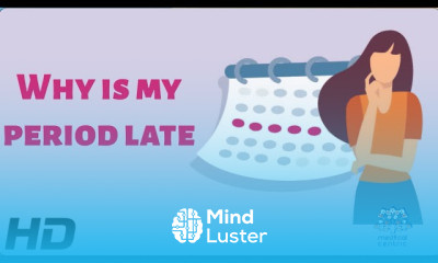 Learn Where s My Period Understanding the Physical and Emotional Factors - Mind Luster