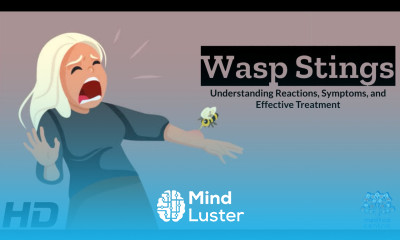 Learn Wasp Stings Your Ultimate Guide to Reactions and Relief - Mind Luster