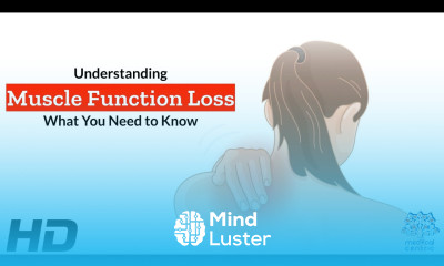 Learn Muscle Meltdown Decoding the Causes of Muscle Function Loss ...