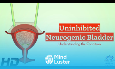 Learn Uninhibited Neurogenic Bladder Demystified A Closer Look at the ...