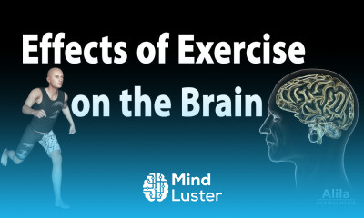 Learn Effects of Exercise on the Brain Animation - Mind Luster