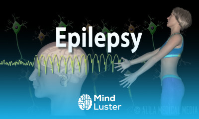Learn Epilepsy Types of seizures Symptoms Pathophysiology Causes and ...