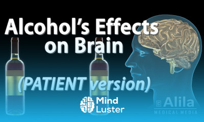 Learn Alcohol Effects on the Brain PATIENT Version Animation - Mind Luster