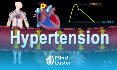 Learn Hypertension High Blood Pressure Animation - Mind Luster