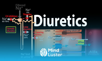 Learn Diuretics Mechanism of Action of Different Classes of Diuretics Animation - Mind Luster