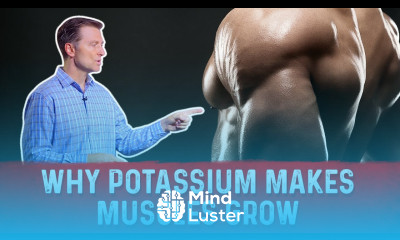 Learn Why Potassium Makes Muscle Growth – Dr Berg s Answer - Mind Luster