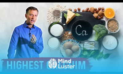 Learn What Food Has the Highest Calcium - Mind Luster