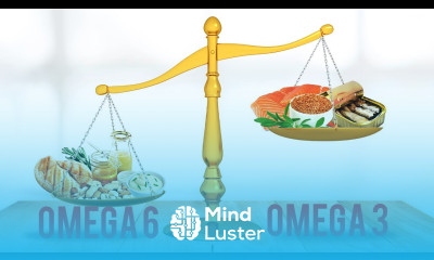 Learn Get Your Omega 6 to Omega 3 Ratios Balanced - Mind Luster