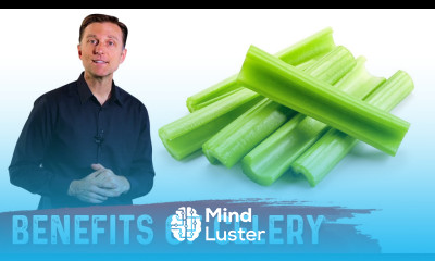 Learn Top 11 Health Benefits of CELERY – Dr Berg - Mind Luster