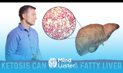Learn Can a Ketogenic Diet Cause Fatty Liver Disease – Dr Berg - Mind ...