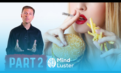 Learn Breaking Bad Old Habits Part 2 - Mind Luster