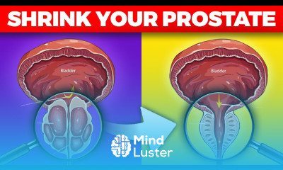 Learn How to Shrink Your Prostate Naturally The 1 Nutrient You Need ...