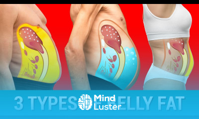 Learn The 3 Belly Types WHICH ONE DO YOU HAVE - Mind Luster