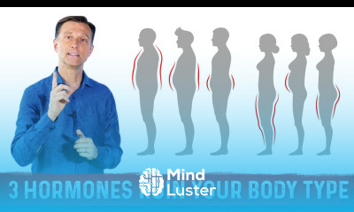 Learn Dr Berg explains 3 Hormones that Affect your Body Shape Weight ...