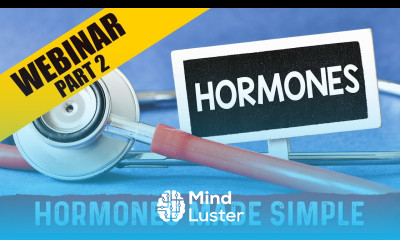 Learn What Are Hormones And How do Your Hormones Work – Dr Berg s ...