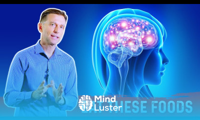 Learn The Best Anti Aging Foods for the Brain – Foods for Brain Health ...