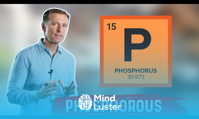 Learn The Danger of Excess Phosphorus - Mind Luster
