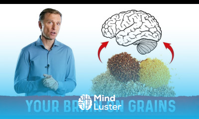 Learn Are Whole Grains Destroying Your Brain - Mind Luster