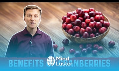 Learn The Unique Benefits of Cranberries – Dr Berg - Mind Luster