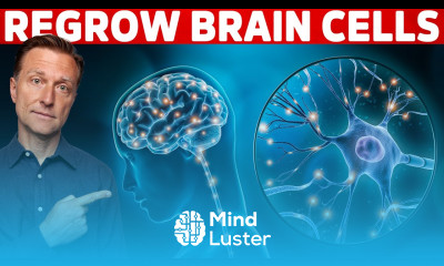 Learn Renew Protect Your Brain Cells Brain Derived Neurotrophic Factor ...