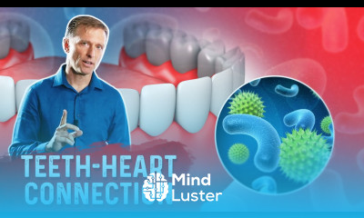 Learn Could Heart Dysfunction Come From an Infected Tooth - Mind Luster