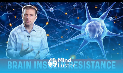 Learn Dr Berg Explains Brain Insulin Resistance - Mind Luster