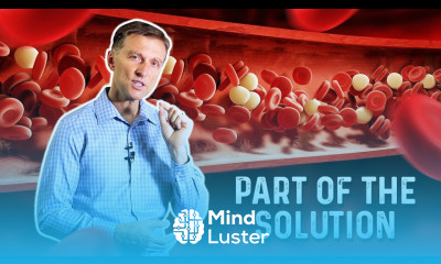Learn Normalizing Blood Sugars is Only Part of the Solution - Mind Luster