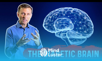 Learn The Diabetic Brain - Mind Luster