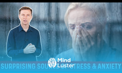 Learn The Hidden Cause of Stress Anxiety – Dr Berg - Mind Luster