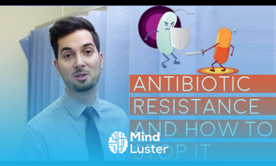Learn What Causes Antibiotic Resistance What Is Antibiotic Resistance ...