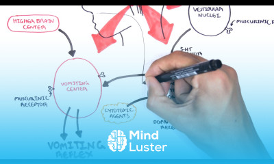 Learn Physiology of Vomiting Vomiting reflex NEW - Mind Luster