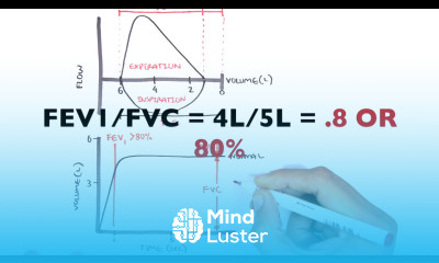 Learn Understanding Spirometry Normal Obstructive vs Restrictive - Mind ...