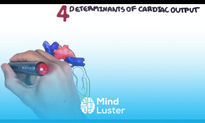Learn Cardiovascular System Physiology Cardiac Output stroke volume ...