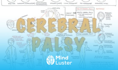 Learn Cerebral Palsy DETAILED Overview - Mind Luster