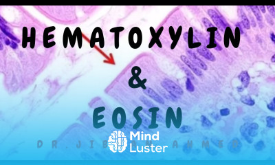Learn HEMATOXYLIN AND EOSIN STAINING II BASIC TISSUE PROCESSING ...