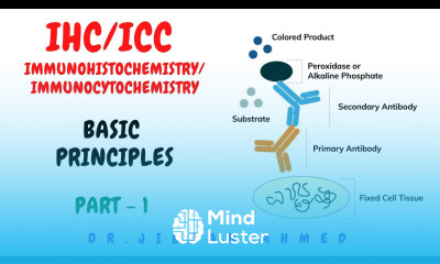 Learn IHC ICC PART 1 II ADVANCED TECHNIQUES II IMMUNOHISTOCHEMISTRY II ...
