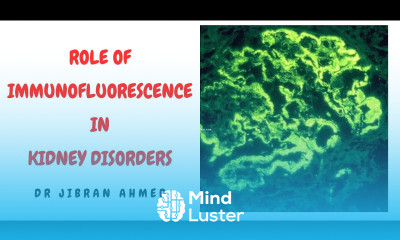 Learn ROLE OF IMMUNOFLUORESCENCE IN DIAGNOSIS OF RENAL BIOPSY OR ...