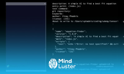 Learn npm init Lesson 19 - Mind Luster